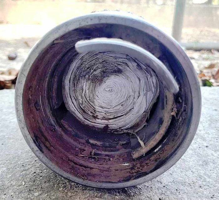 THE PROPAGANDA SHELL